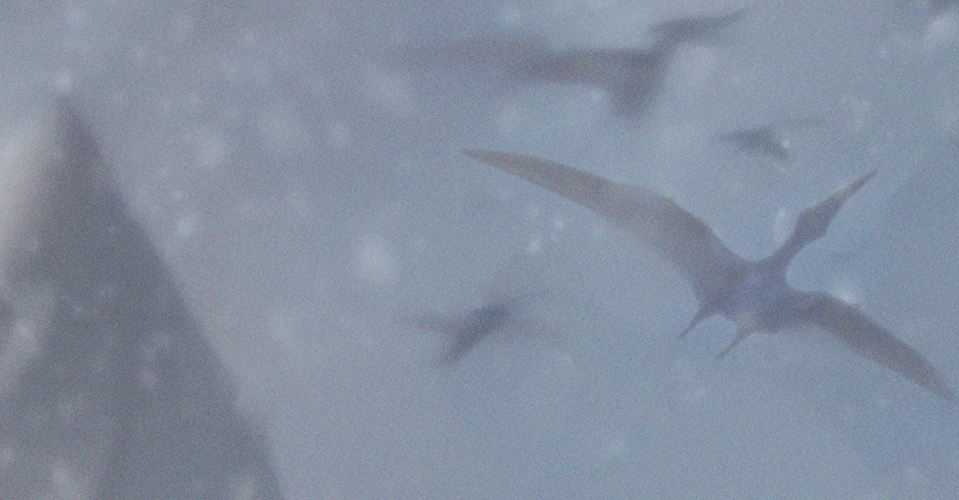 Privacy Policy – Kane Williams, fantasy author